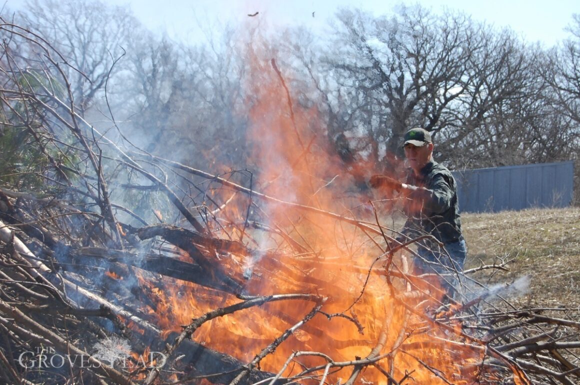 Burn pile before-and-after – The Grovestead