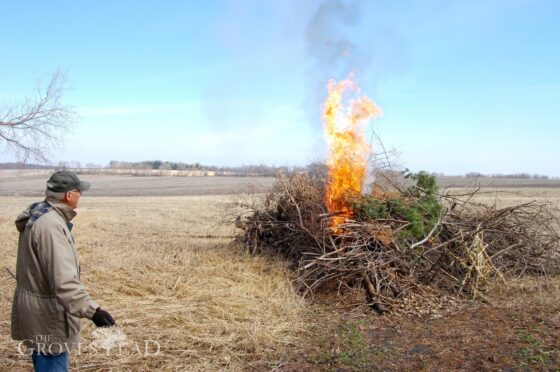 Burn pile before-and-after – The Grovestead