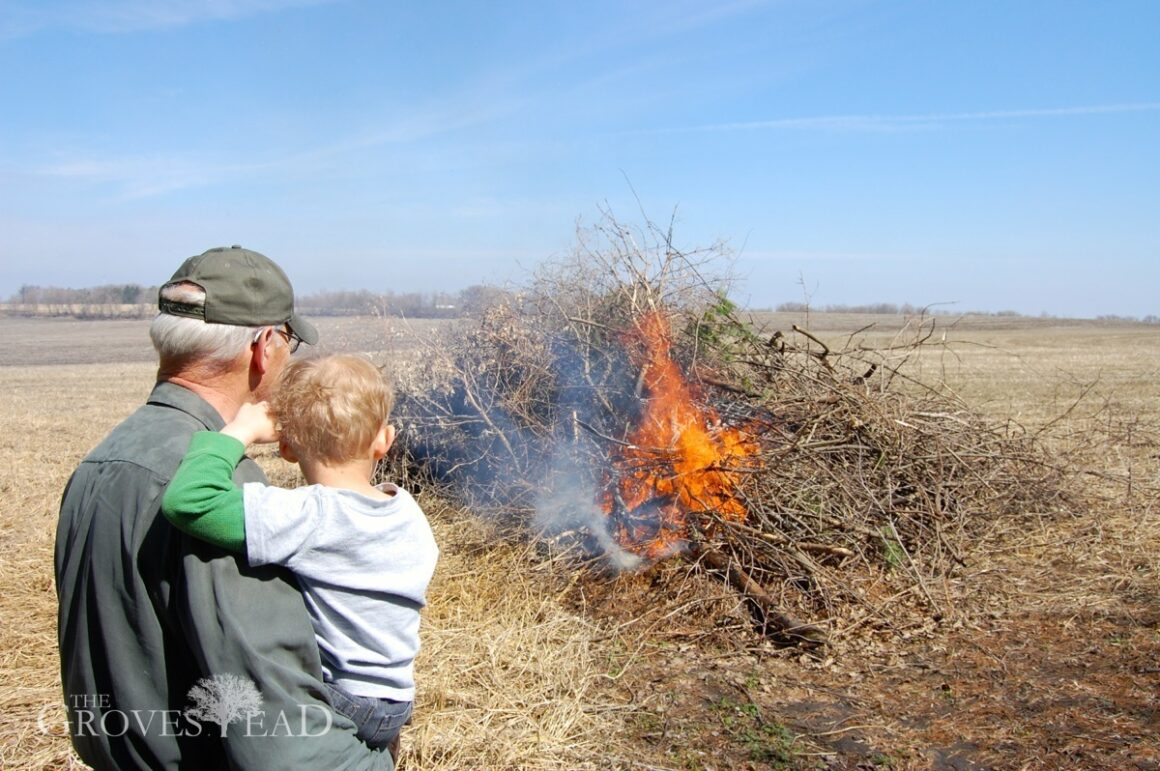 Burn pile before-and-after – The Grovestead