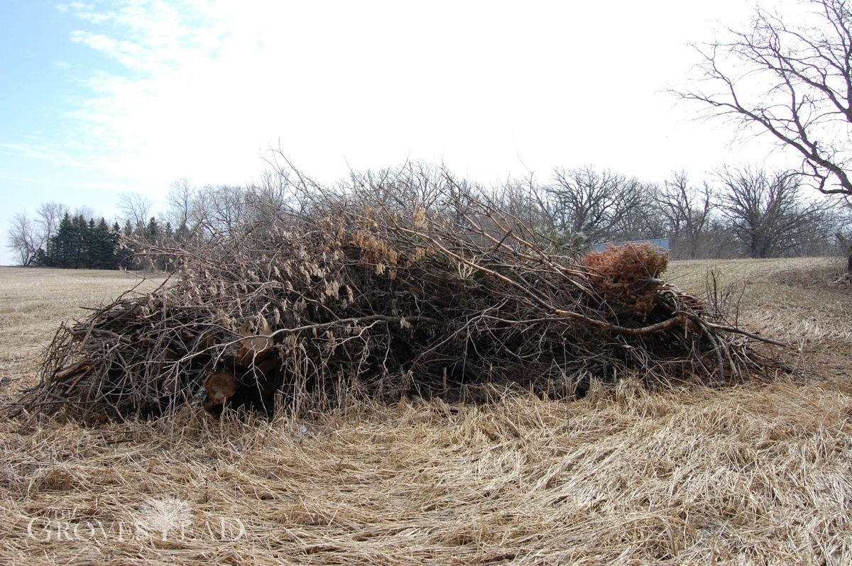 Burn pile before-and-after – The Grovestead