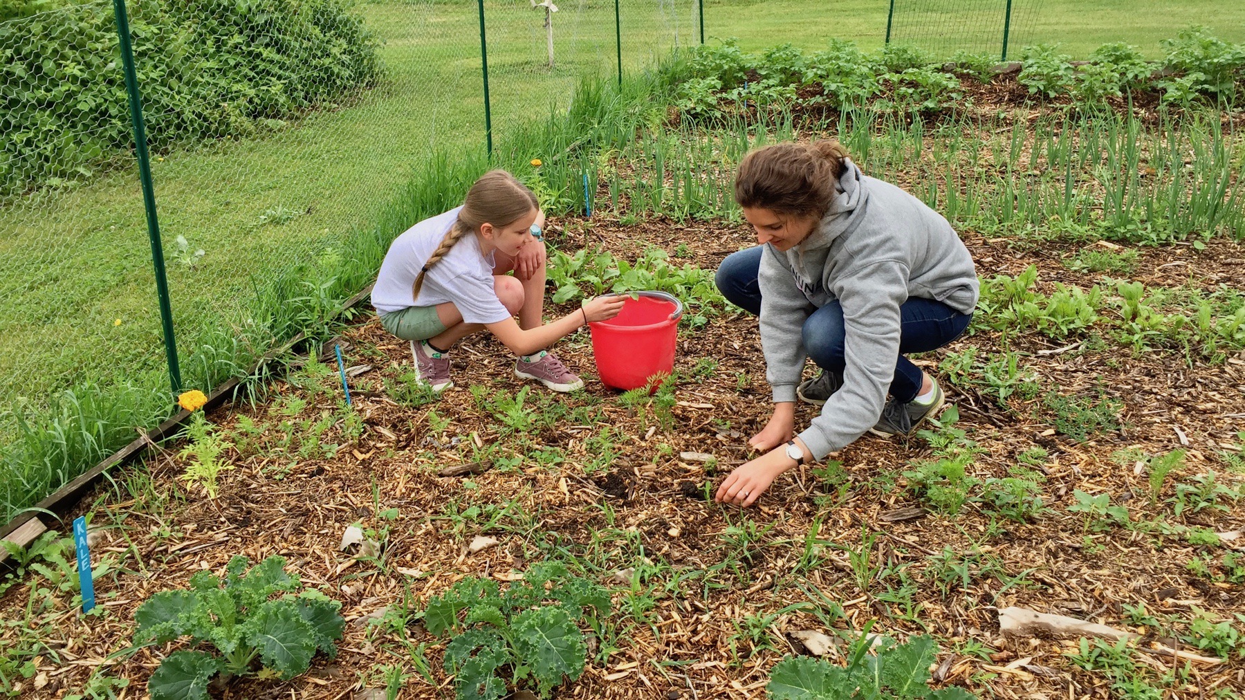 Farm Camp – The Grovestead