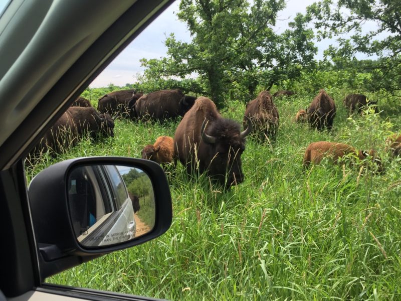 Nine State Parks in Three Days – The Grovestead