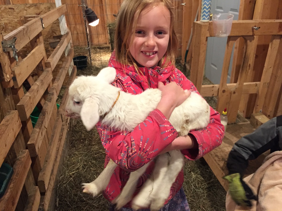 Farm Open House – The Grovestead