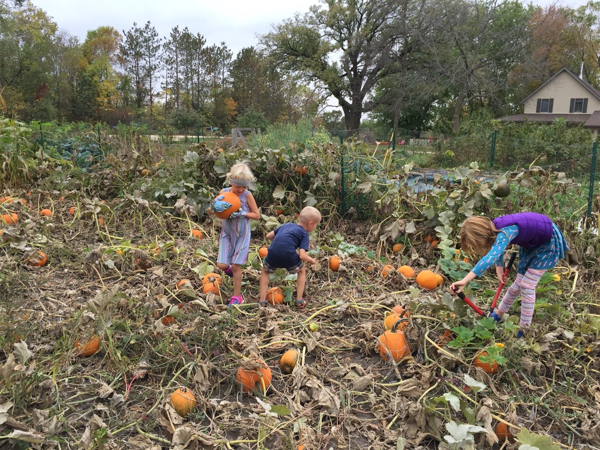 Fall on the Farm – The Grovestead