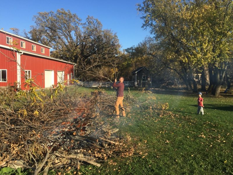 Fall on the Farm – The Grovestead