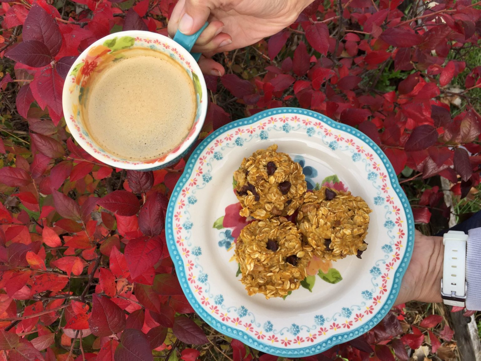 Managed Intensive Rotational Grazing for Sheep – The Grovestead