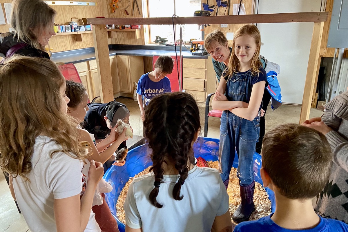 Join us for the Farm & Family Fair! – The Grovestead