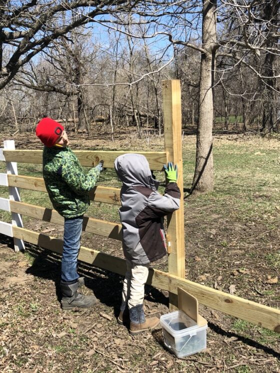 The Grovestead – A Learning Farm