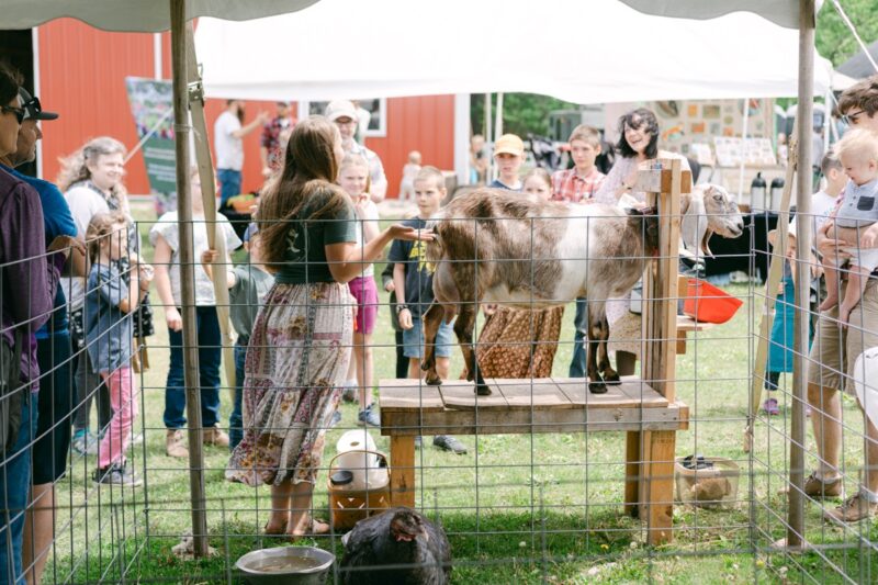 The Farm & Family Fair 2024 – The Grovestead